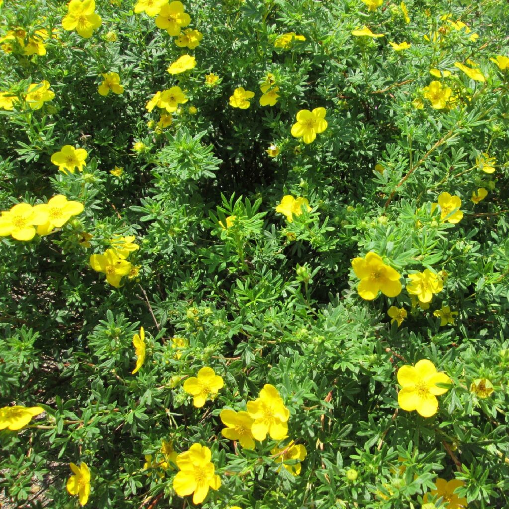 Manifest a Miracle Candle, Crystal Journey Candles - Heaven & Nature Store